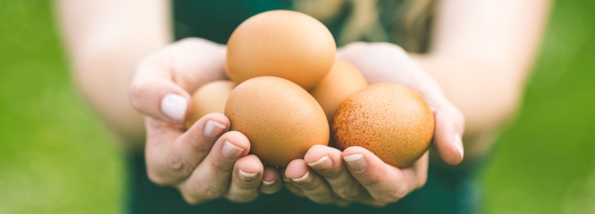 Sustainability | eggfarmers.ca