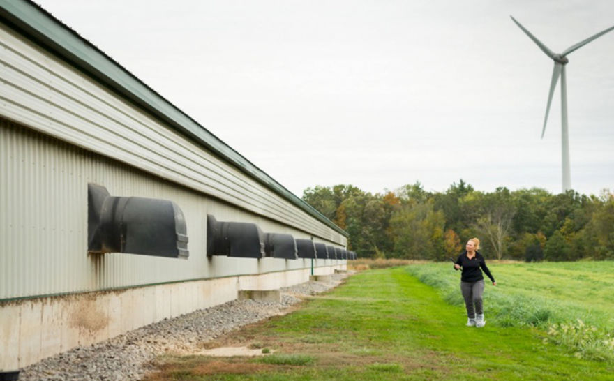 A behind the scenes look at an on-farm inspection | Egg Farmers of Canada