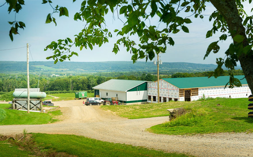 The hen housing transition: how one family is transforming their farm ...