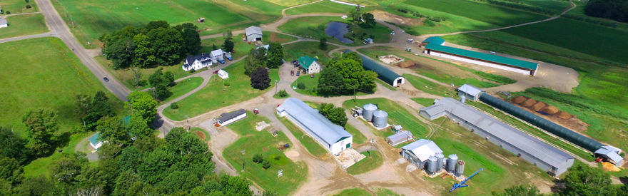 The hen housing transition: how one family is transforming their farm ...