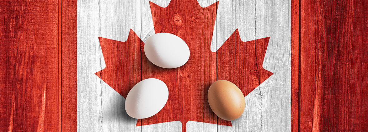 eggfarmers.ca | Egg Farmers of Canada