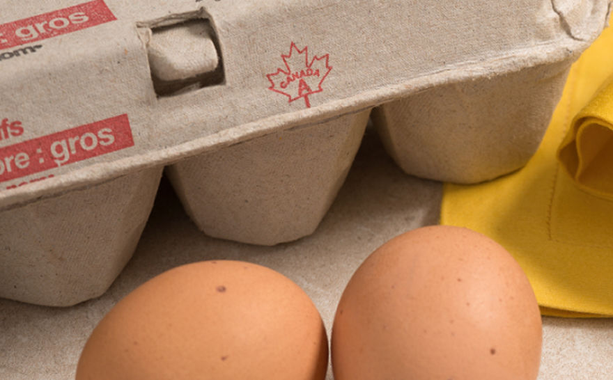 Here’s how to identify Canadian eggs | Egg Farmers of Canada