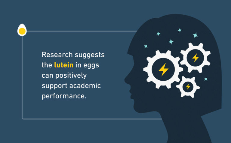 Research reveals how eggs support cognition
