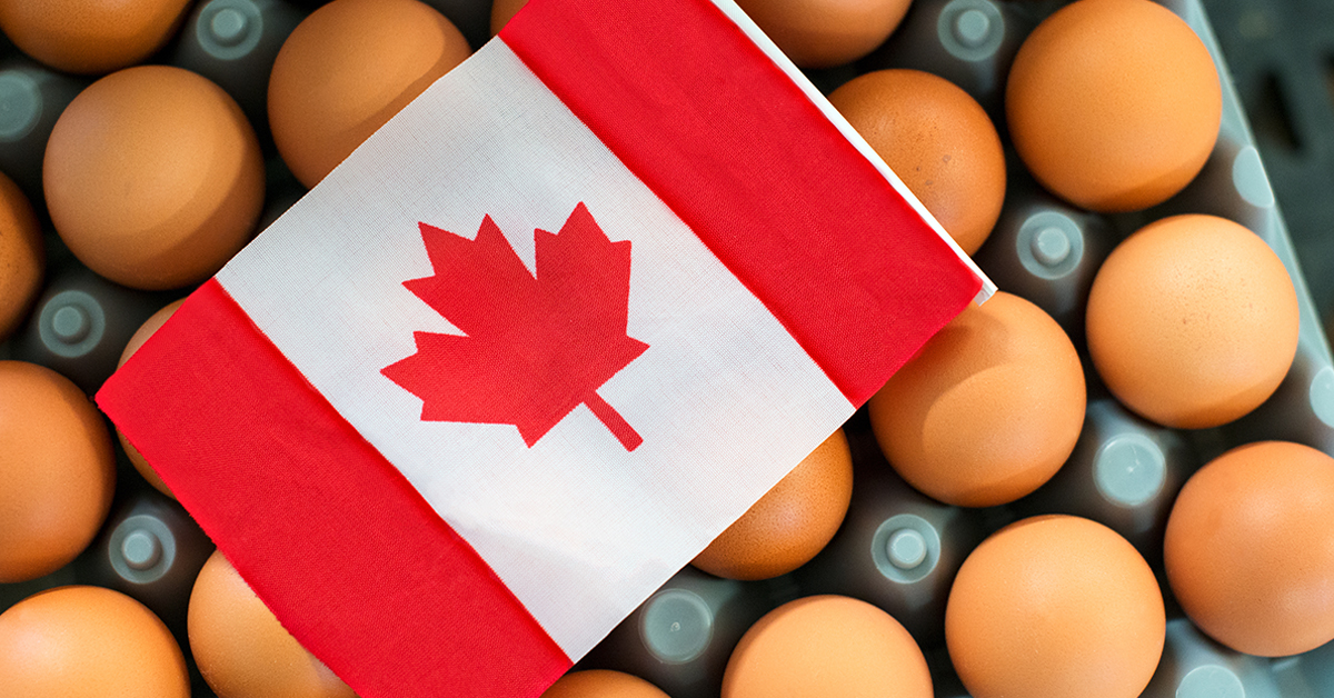 Future Egg Leaders’ Summit 2024 | Egg Farmers of Canada
